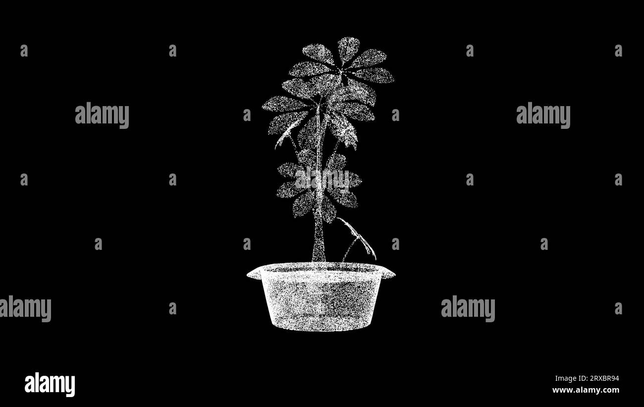 Pot present Black and White Stock Photos & Images - Alamy