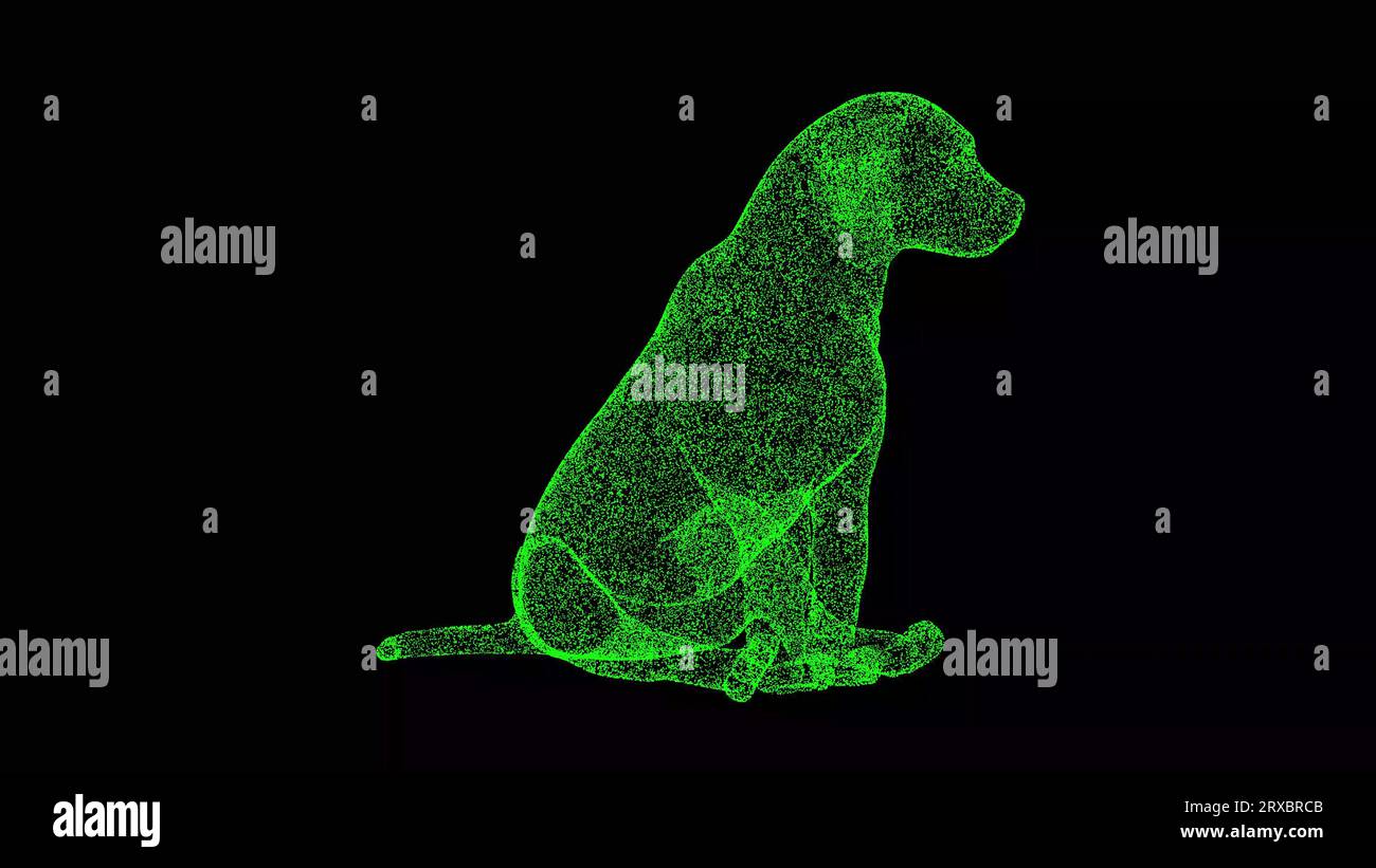 3D Puppy rotates on black background. Pet concept. Cute little dog ...