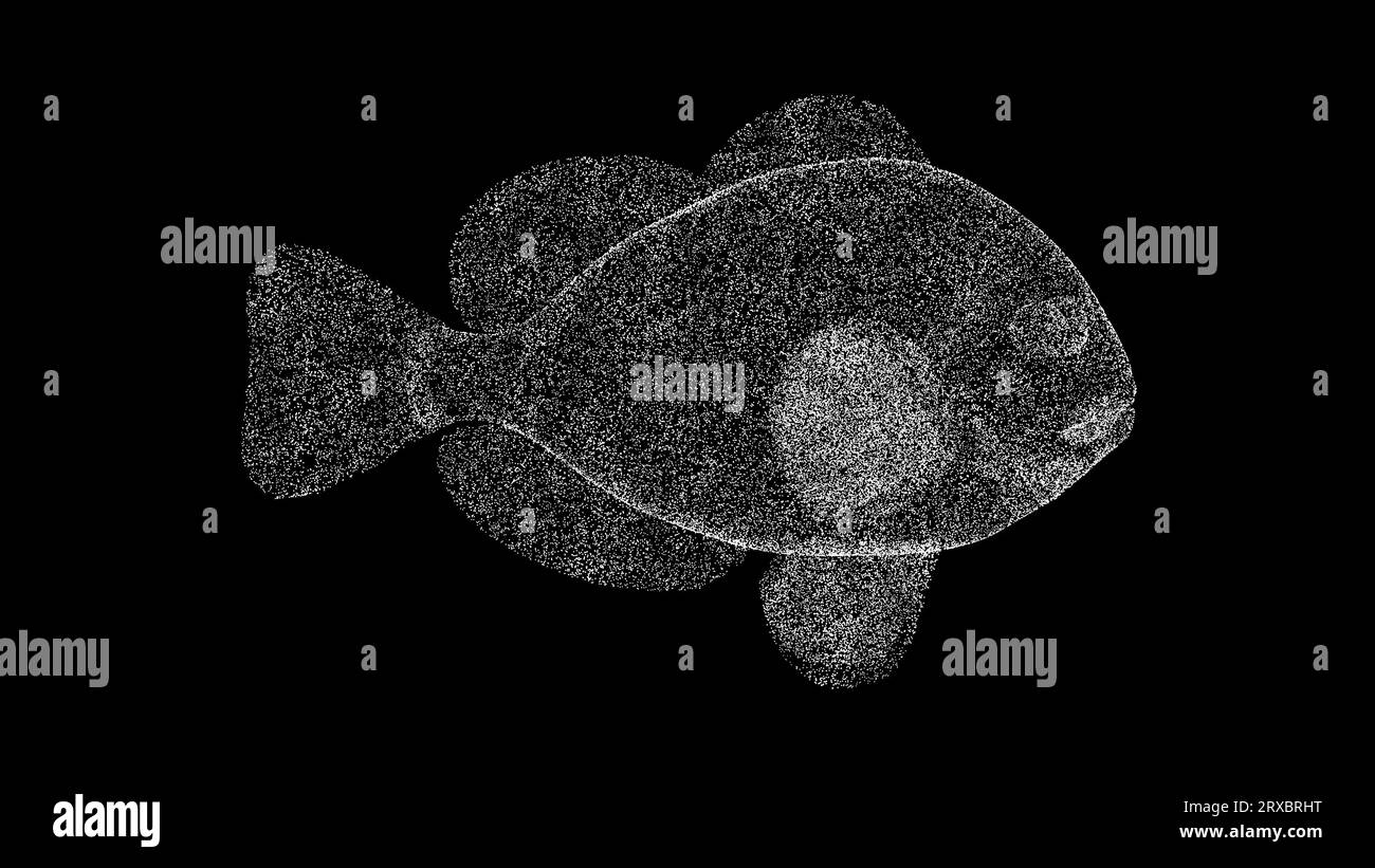 3D Common Carp on black background. Underwater life concept. River ...