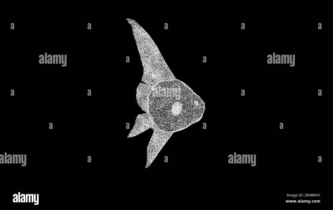 3D Aquarium fish on black background. Hobby concept. Tropical fish ...