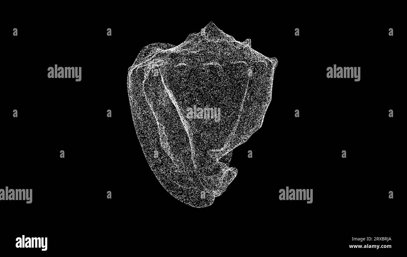 3D Sea shell on black background. Marine concept. Marine decoration ...