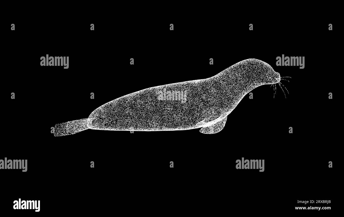 3D Fur seal on black background. Marine concept. Marine animals ...