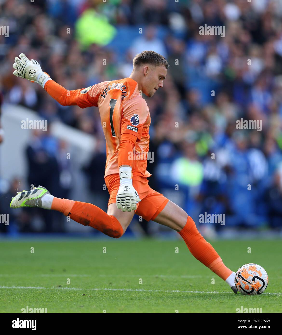 Brighton goalkeeper bart verbruggen hi-res stock photography and images - Alamy