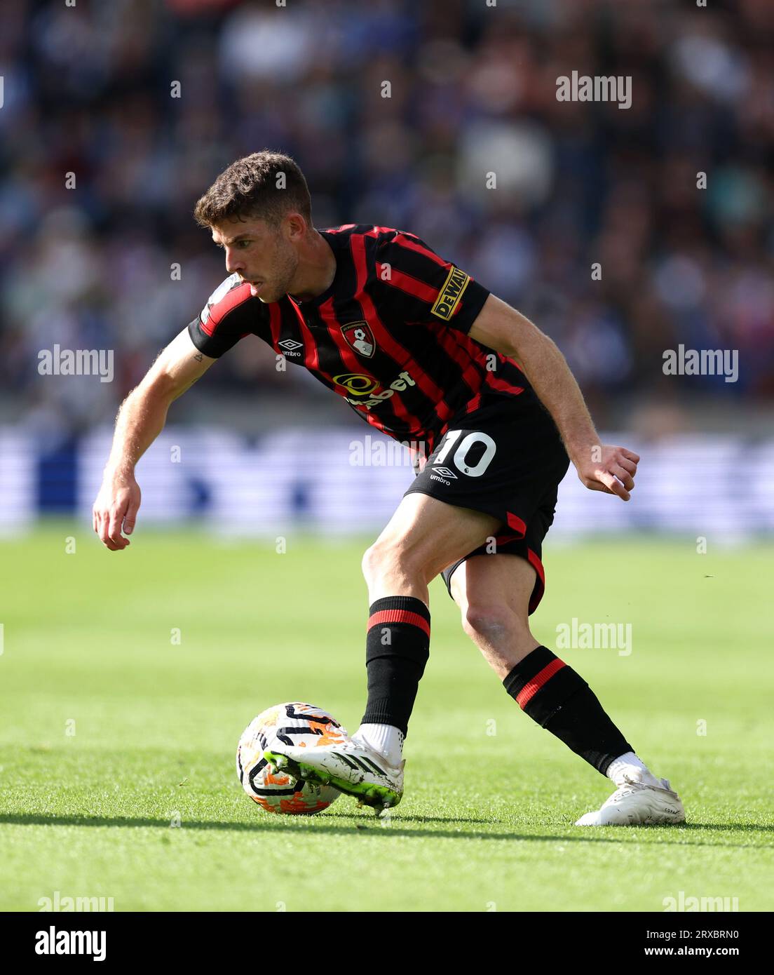 Amex stadium 2023 hi-res stock photography and images - Alamy