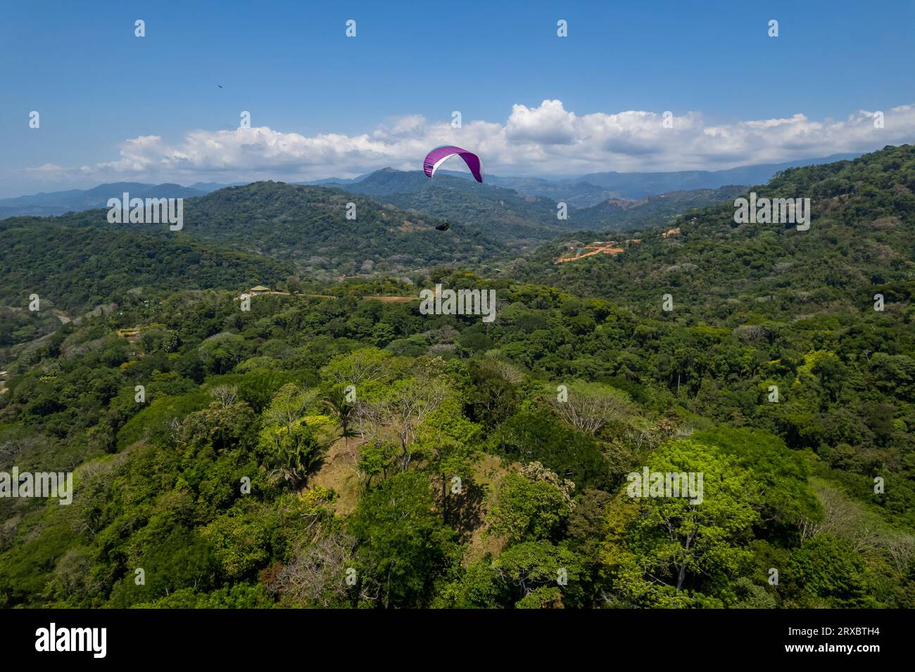 Aerial View of extreme paragliding sport in the Beautiful beach in ...