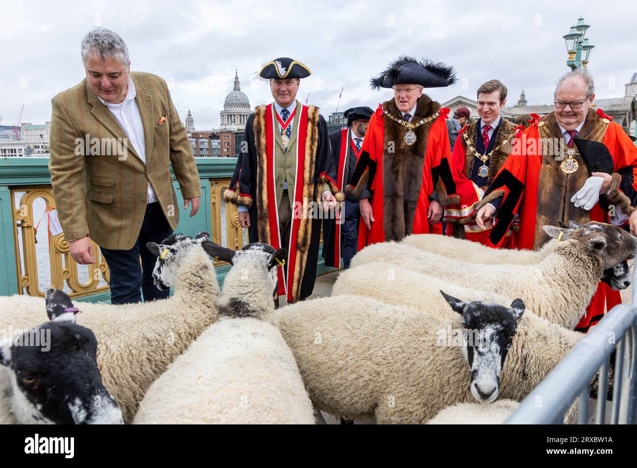 Ceremonial robes lead hi-res stock photography and images - Alamy