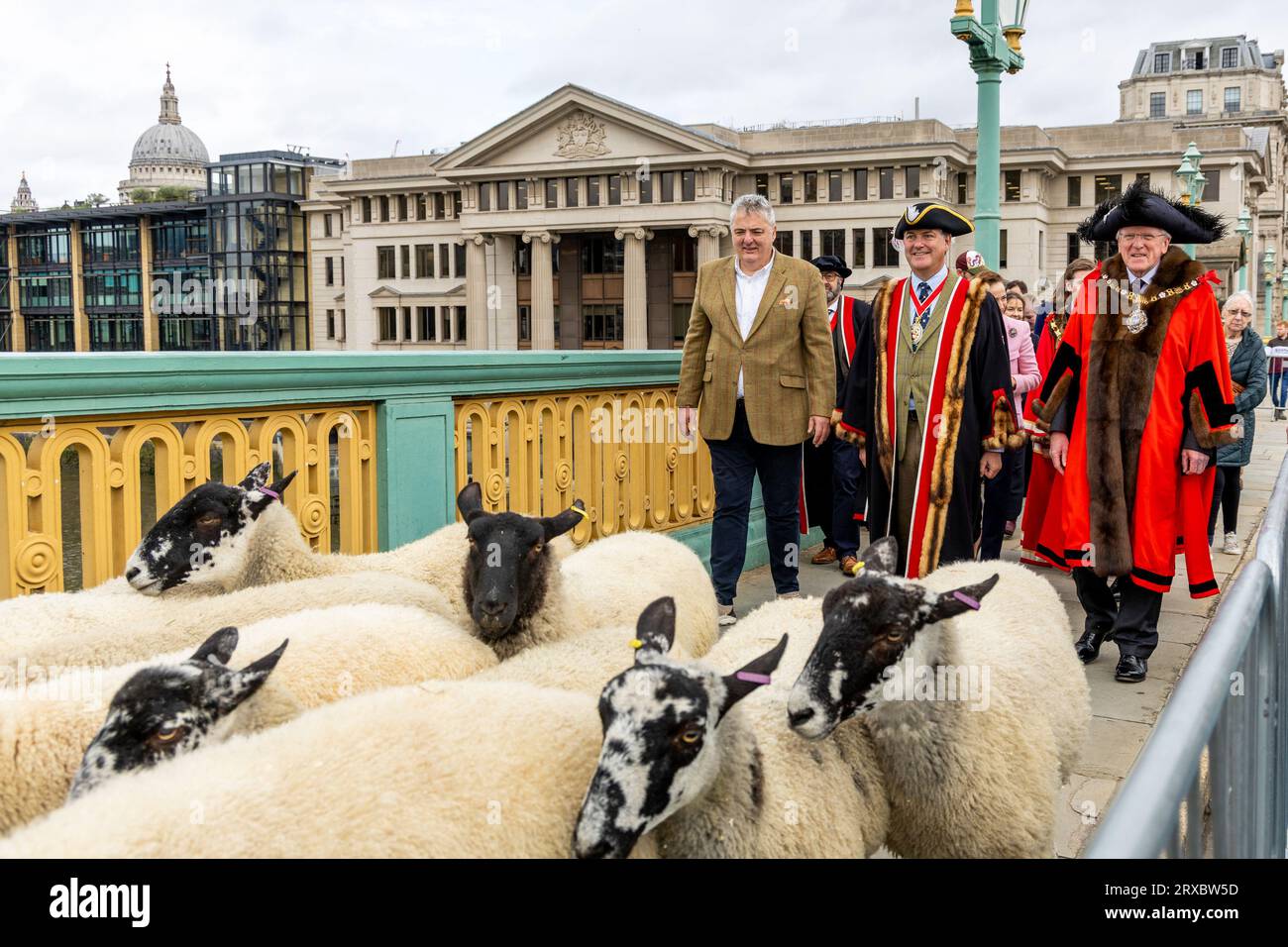 Ceremonial robes lead hi-res stock photography and images - Alamy