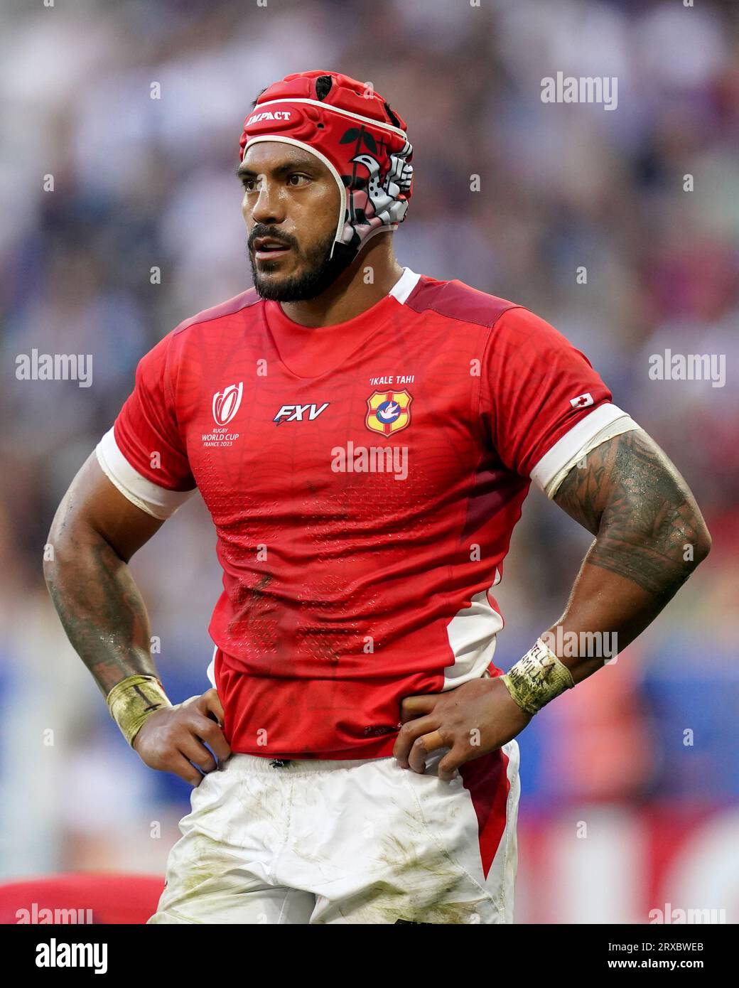 Tonga's Pita Ahki looks on during the Rugby World Cup 2023, Pool B ...