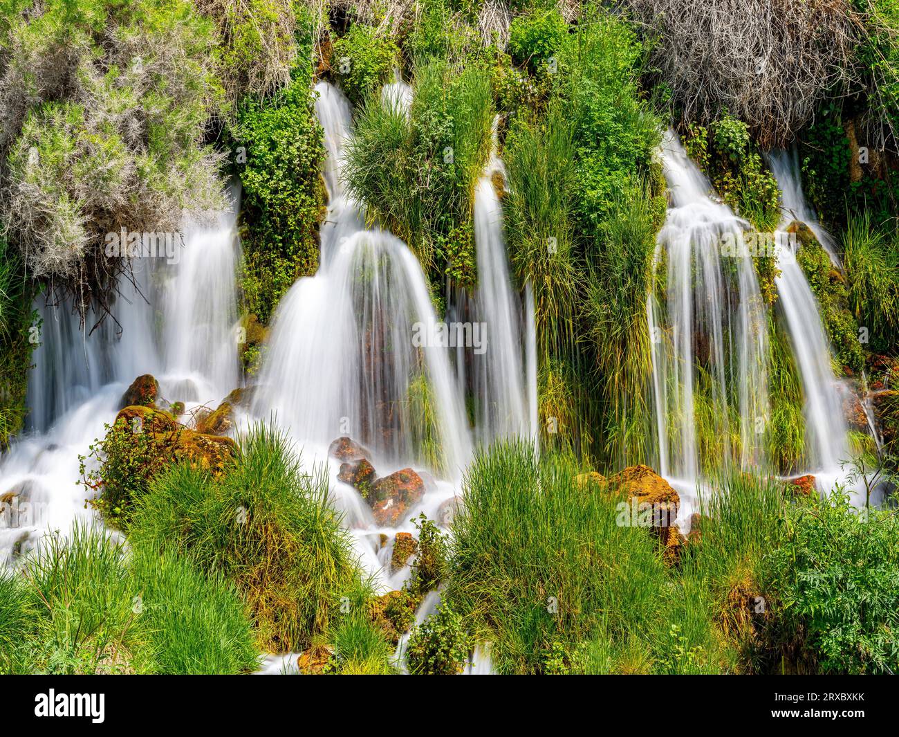 Thousand Springs State Park in Idaho mini waterfalls Stock Photo - Alamy