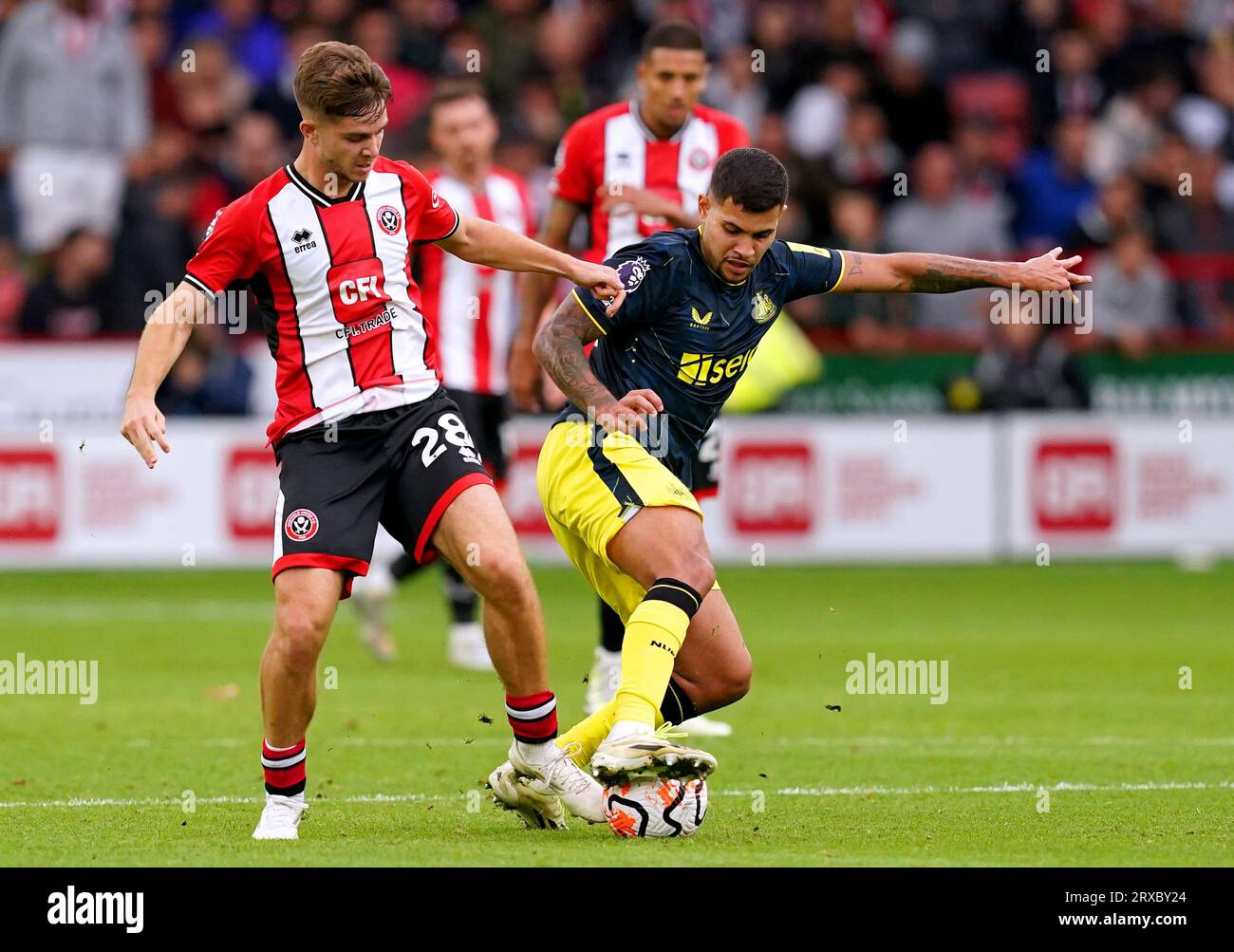 Sheffield United's James McAtee (left) and Newcastle United's Bruno ...