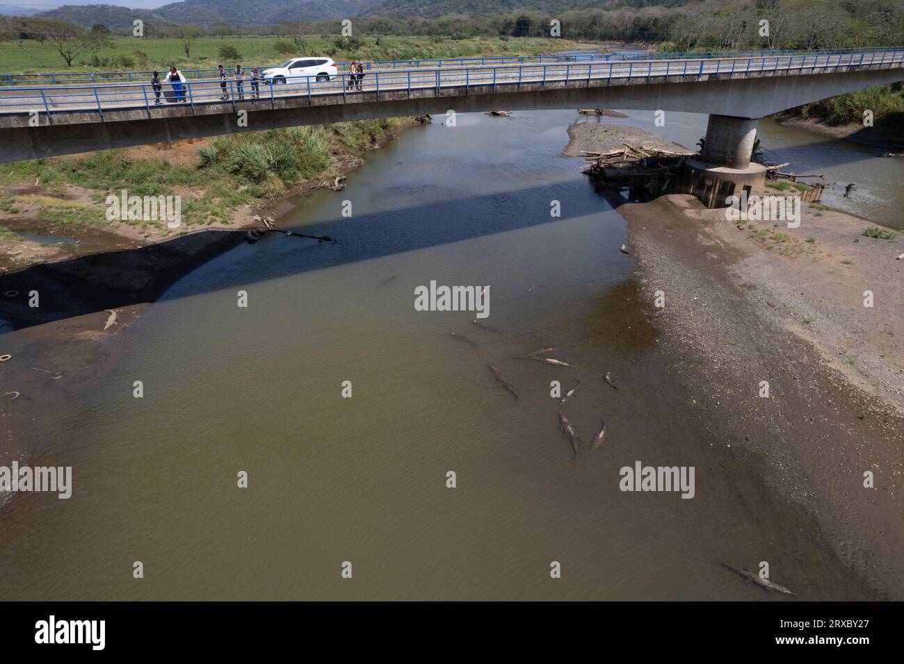 Beautiful aerial View of the Tarcoles river and bridge, with lots of ...