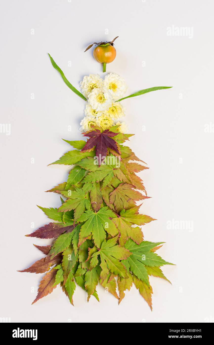 female figure, woman made from green autumnal leaves, isolated on white ...