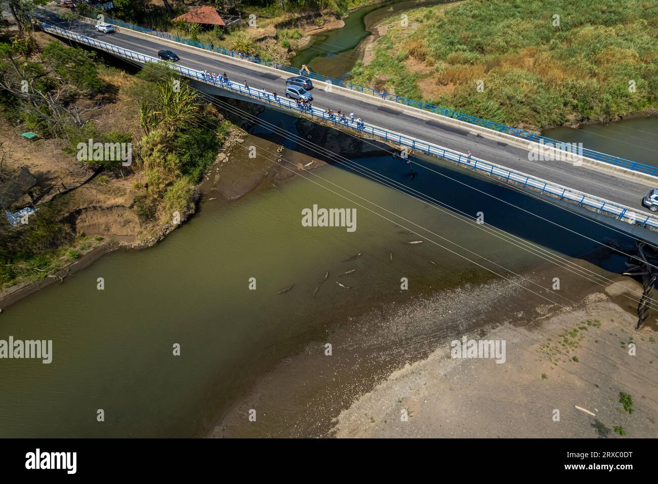 Beautiful aerial View of the Tarcoles river and bridge, with lots of ...