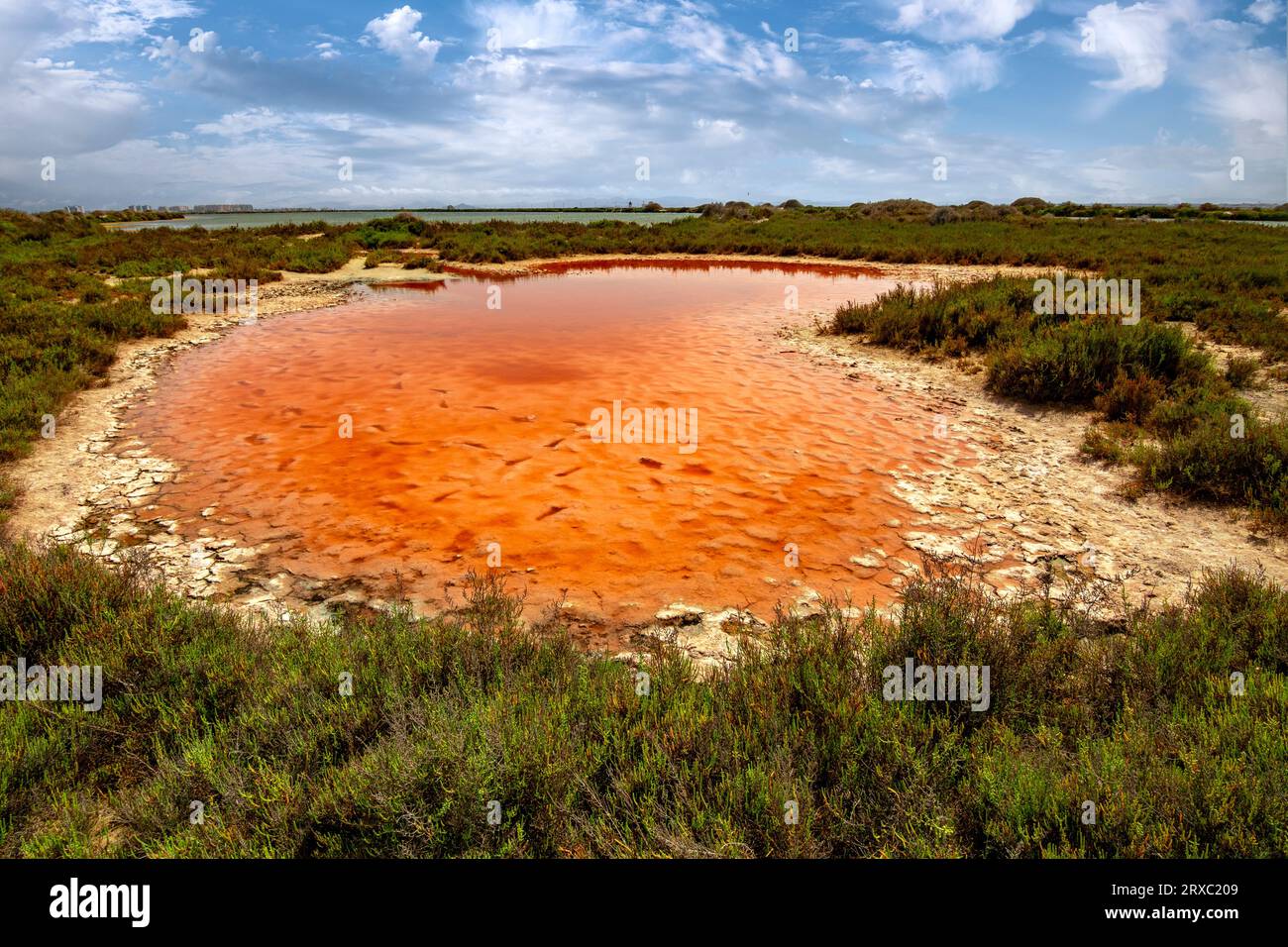 Orange pond in the Salinas de San Pedro del Pinatar natural park ...