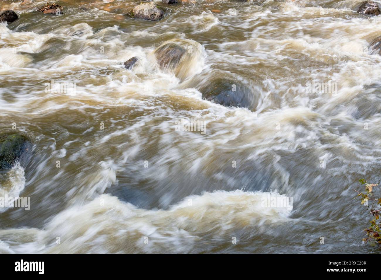 Rapid white hi-res stock photography and images - Alamy