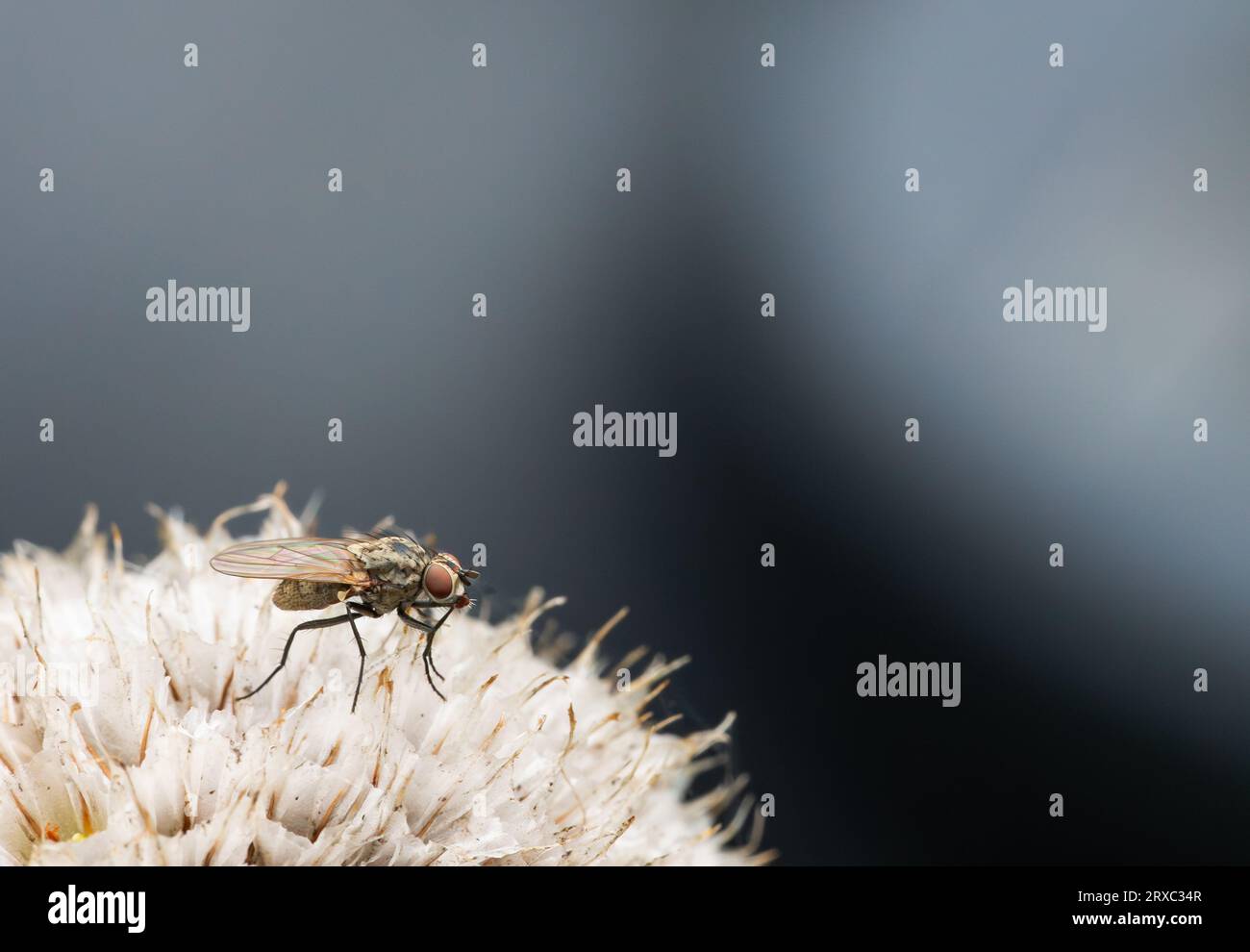 Body part legs close up hi-res stock photography and images - Alamy