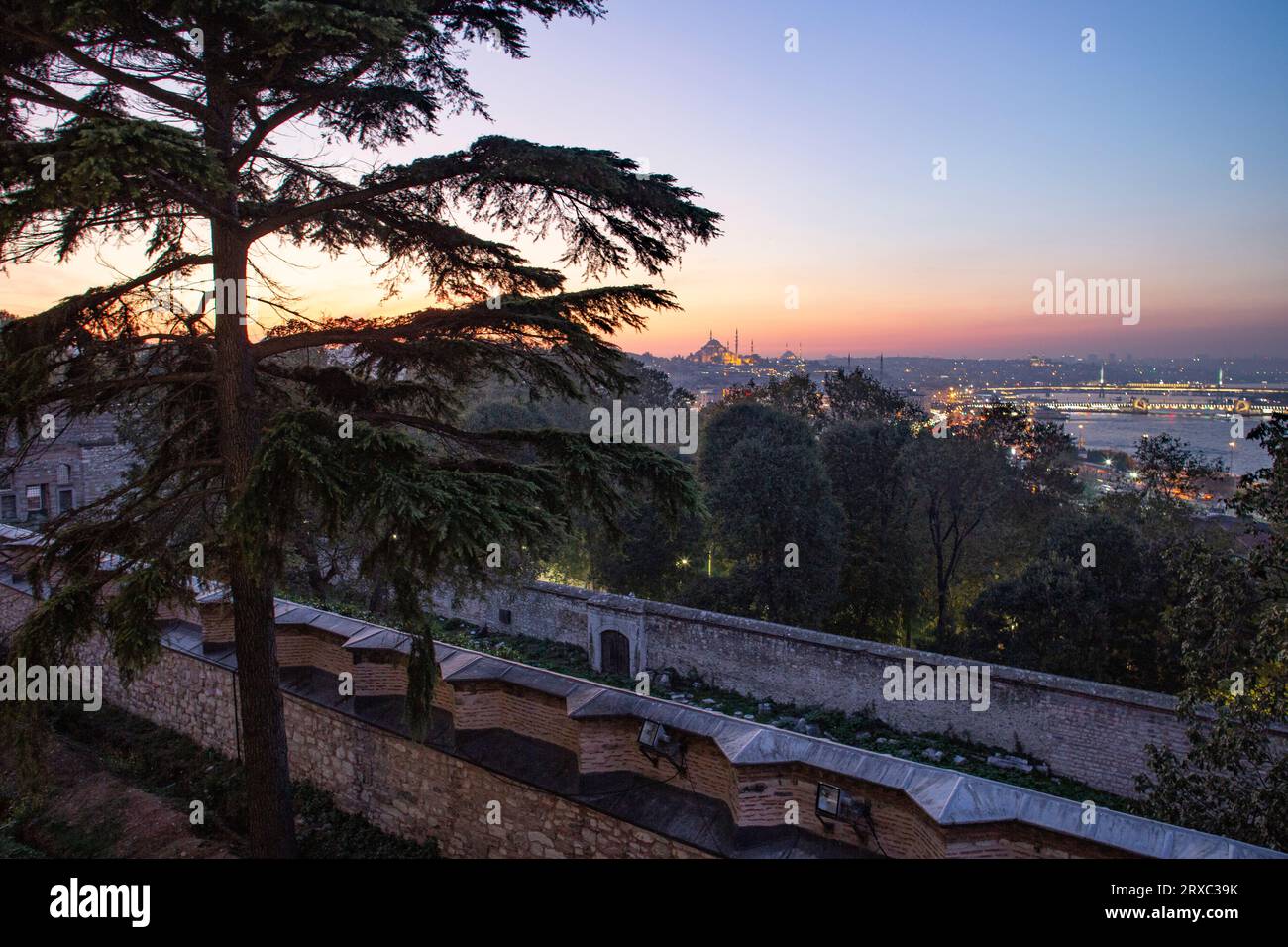 Old cedar (Cedrus libani) located in the magnificent Topkakpi Palace ...