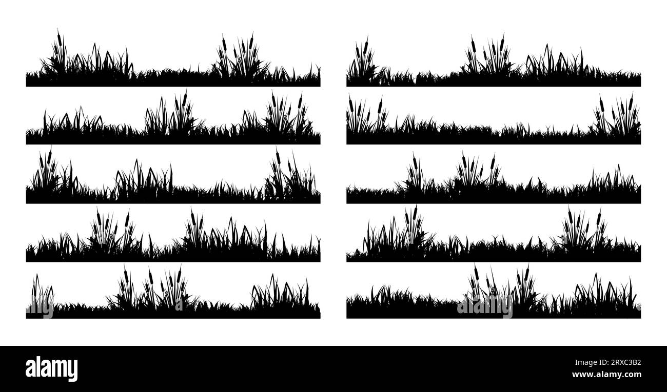Grass grassy plain Cut Out Stock Images & Pictures - Alamy