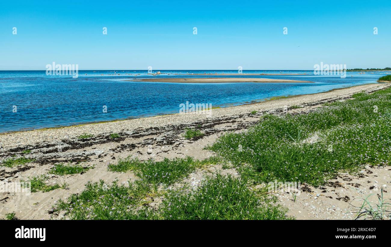 landscape with traditional coastal view, Saaremaa Island, Estonia Stock ...