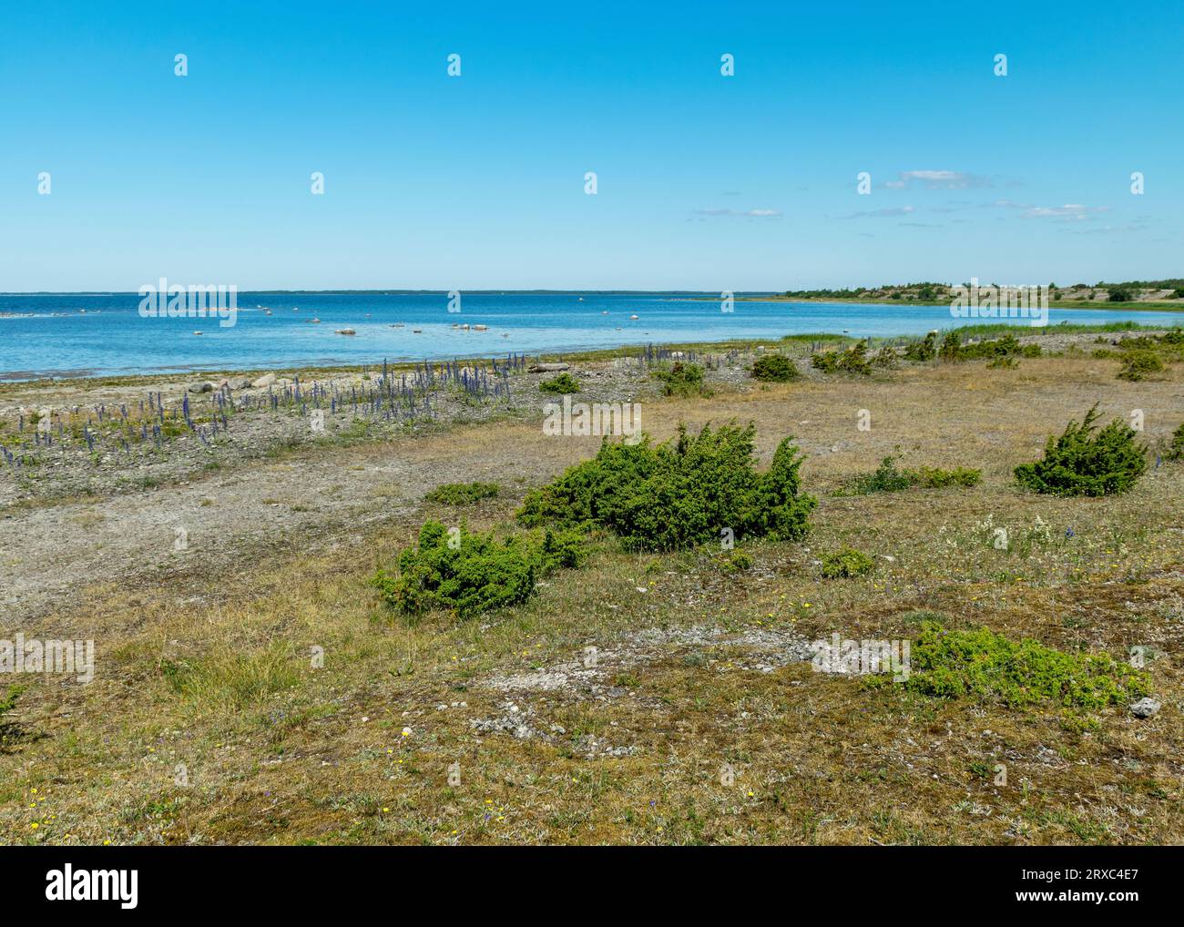 landscape with traditional coastal view, Saaremaa Island, Estonia Stock ...