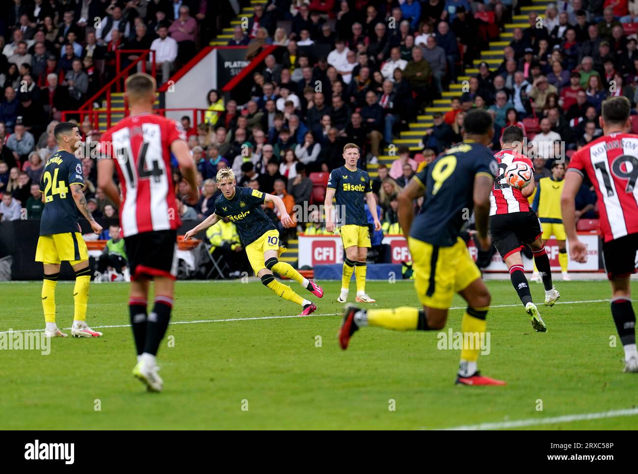 Anthony bramall hi-res stock photography and images - Alamy