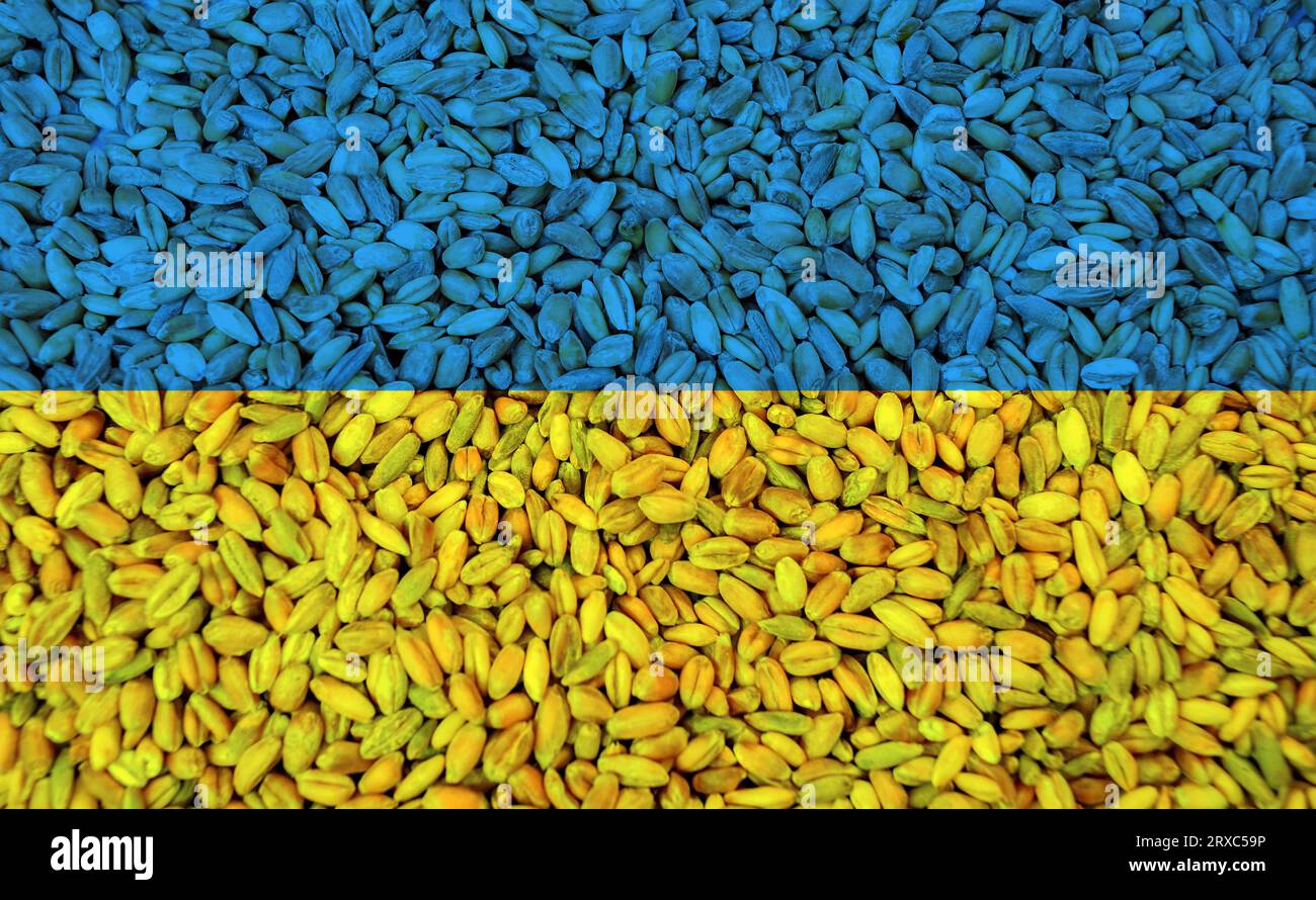Ukrainian grain crisis global hi-res stock photography and images - Alamy