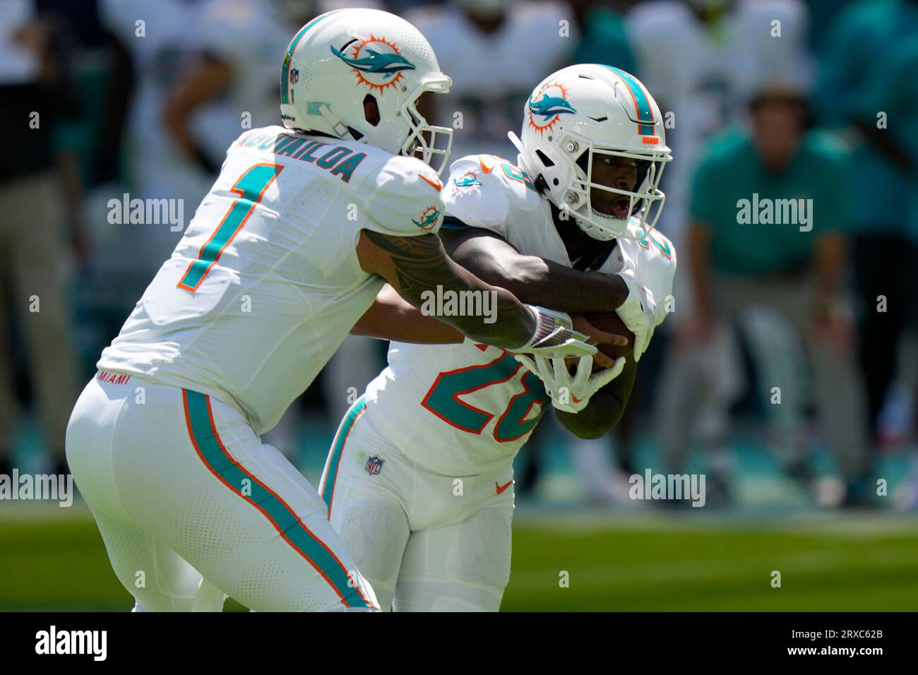 Miami Dolphins quarterback Tua Tagovailoa (1) hands the ball to running ...