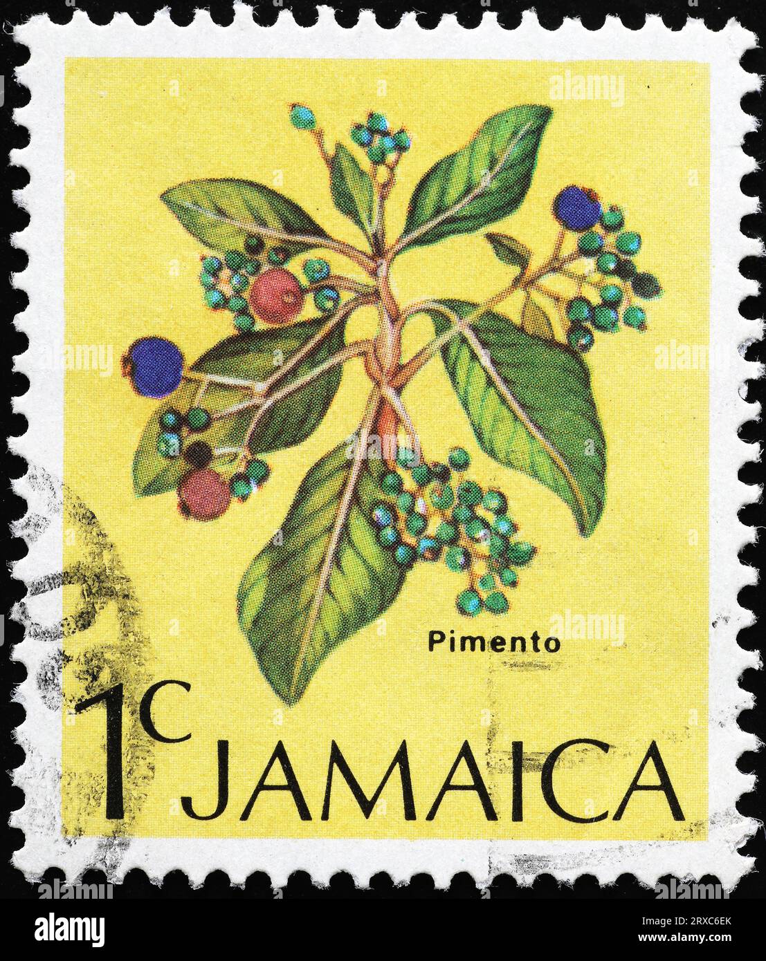 Jamaican agriculture hi-res stock photography and images - Alamy