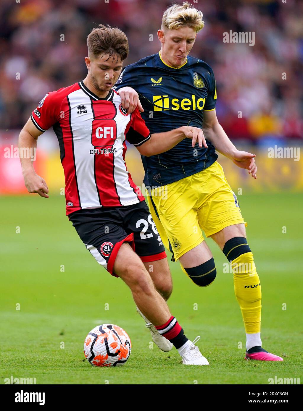 Sheffield United's James McAtee (left) and Newcastle United's Anthony ...