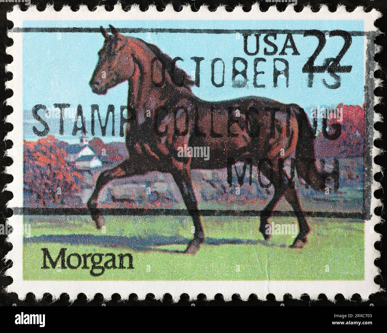 Morgan horse on american postage stamp Stock Photo - Alamy