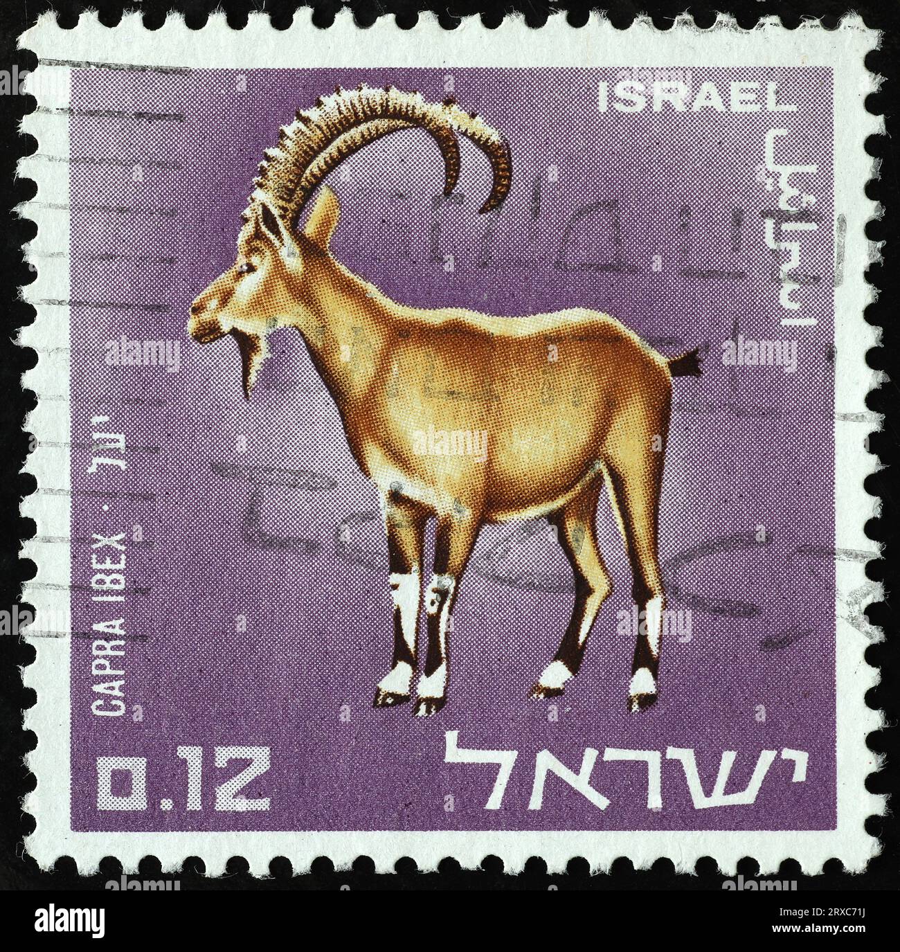 Nubian ibex on israeli postage stamp Stock Photo - Alamy