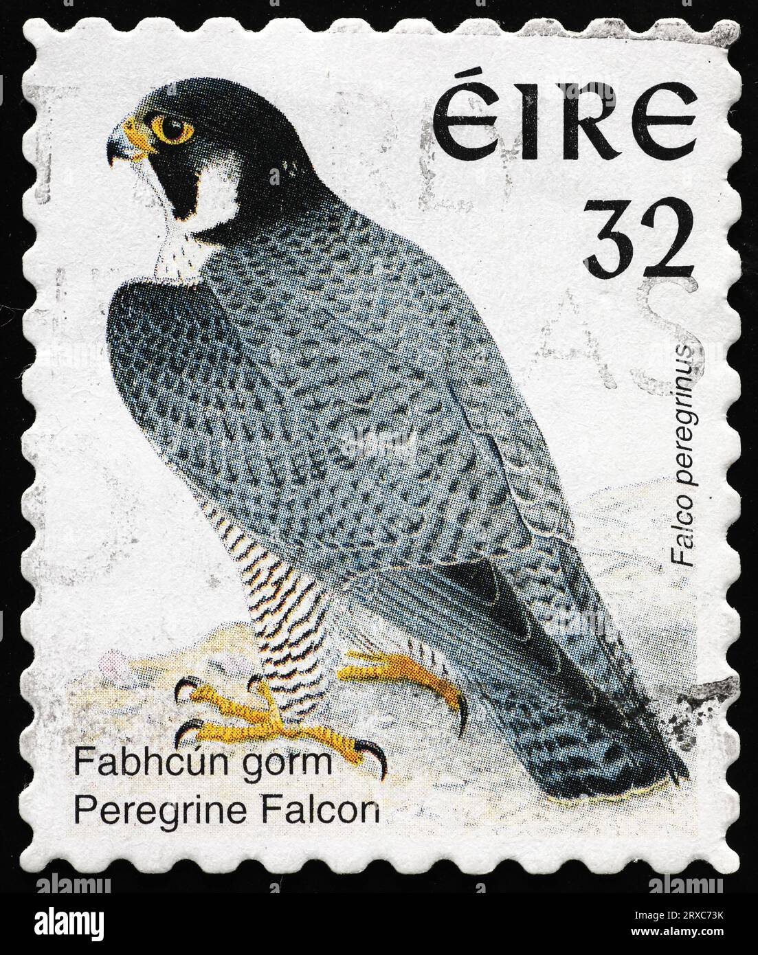 Peregrine falcon on irish postage stamp Stock Photo - Alamy