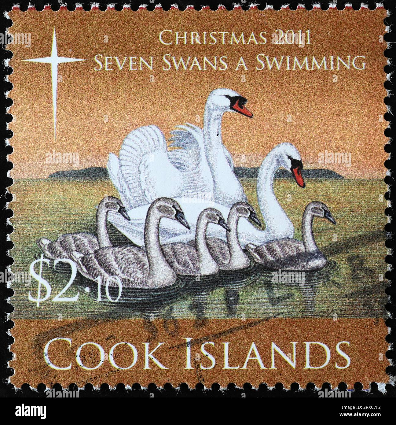 Twelve days of christmas swans hi-res stock photography and images - Alamy
