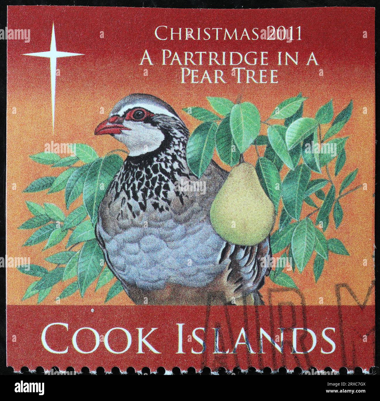 Partridge pear tree hi-res stock photography and images - Alamy