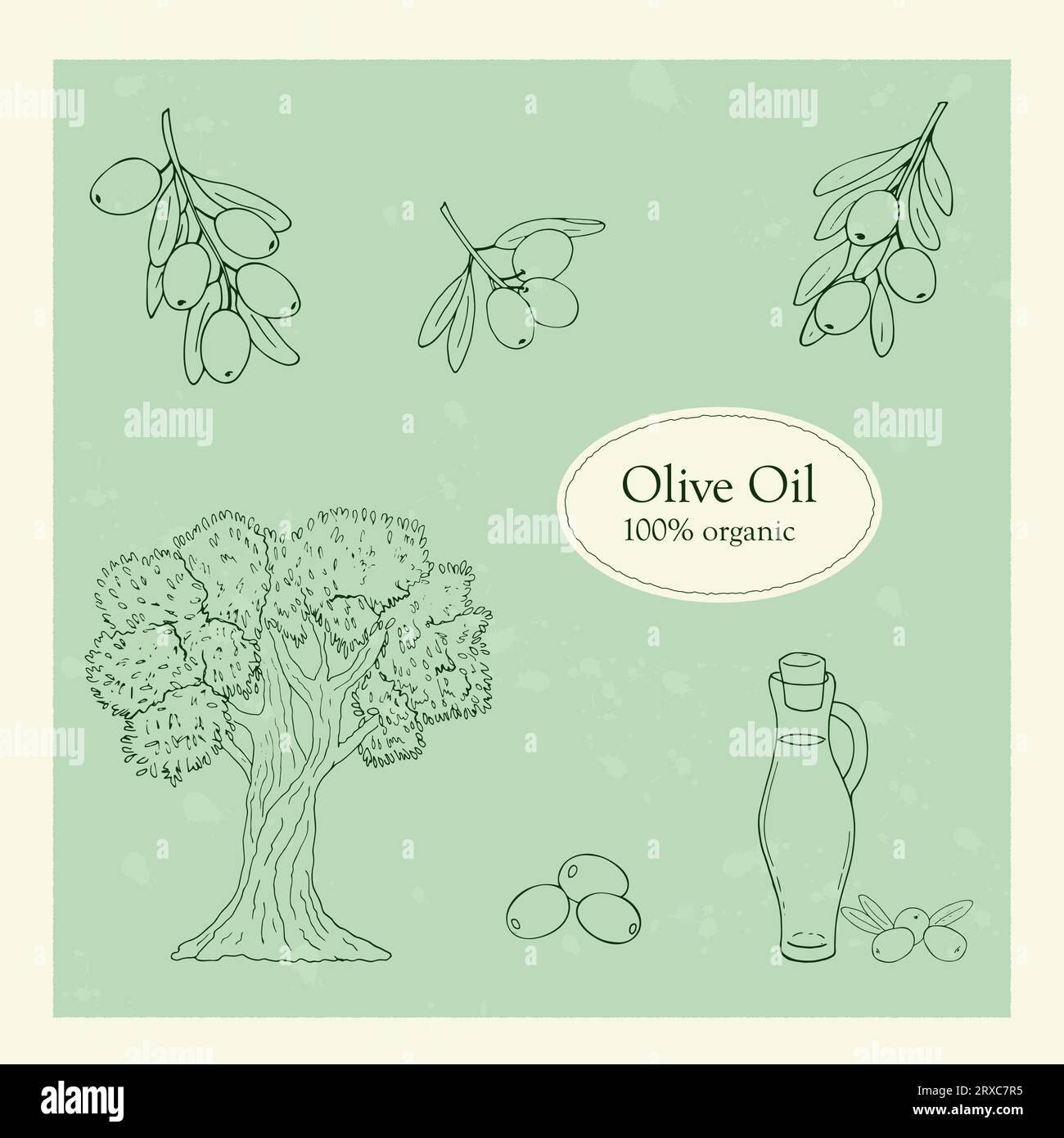 Hand-drawn outline olive illustration, isolated on a green background ...