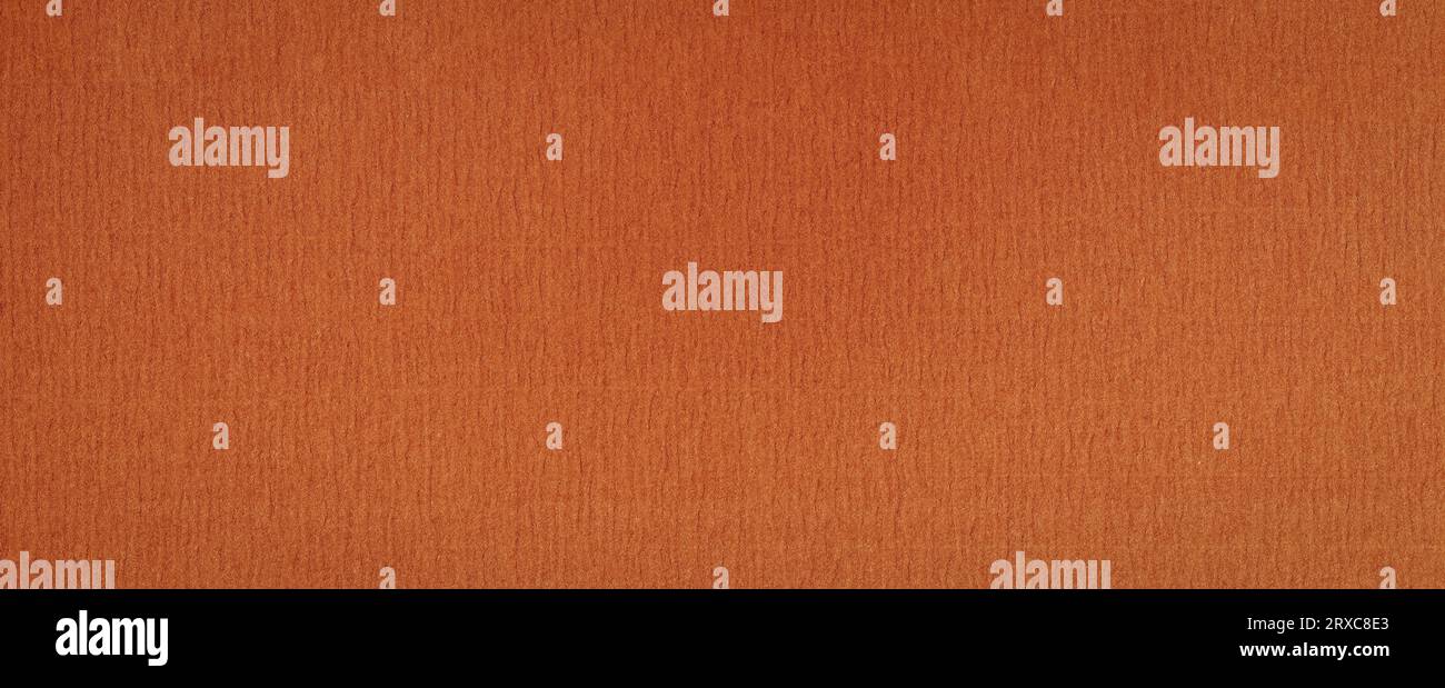 monochromatic orange wall background. orange monochromatic backdrop ...