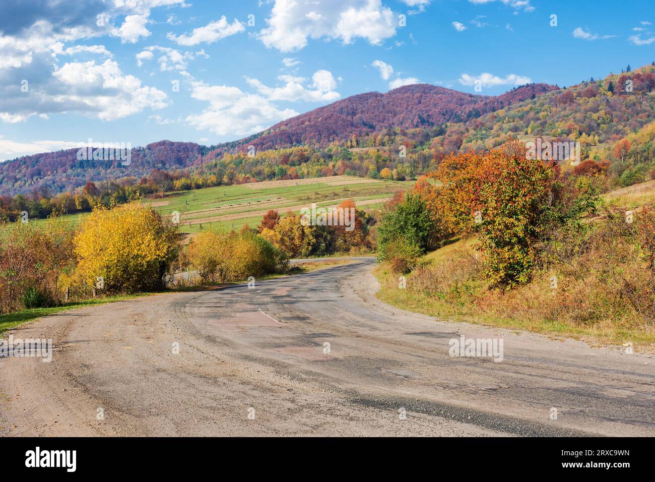Old tree winding road hi-res stock photography and images - Alamy