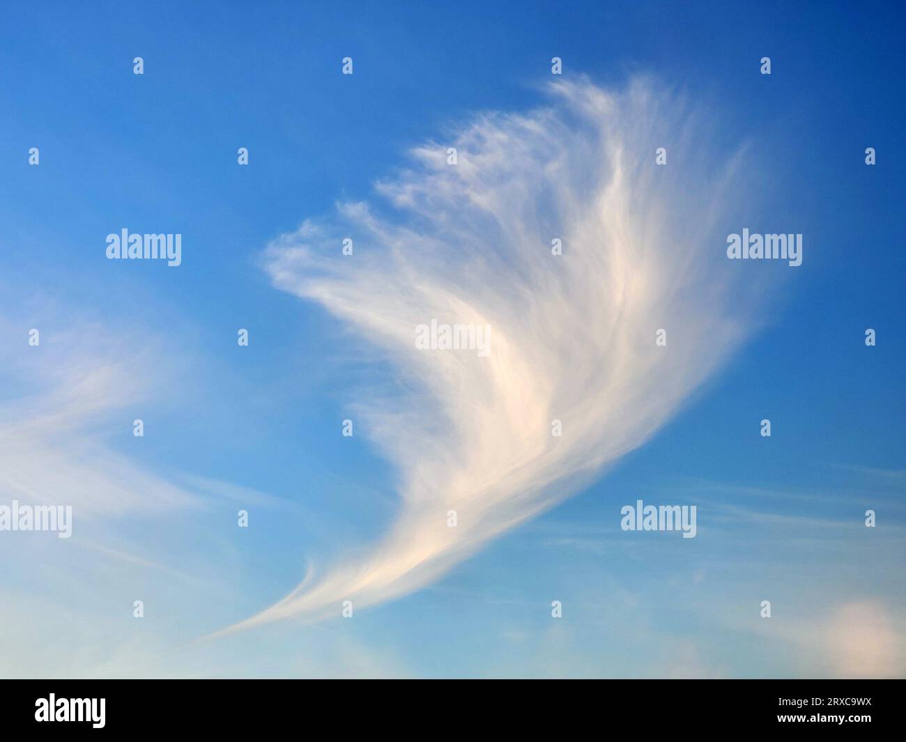 Feather clouds in the blue sky, beautiful photo digital picture and background Stock Photo - Alamy