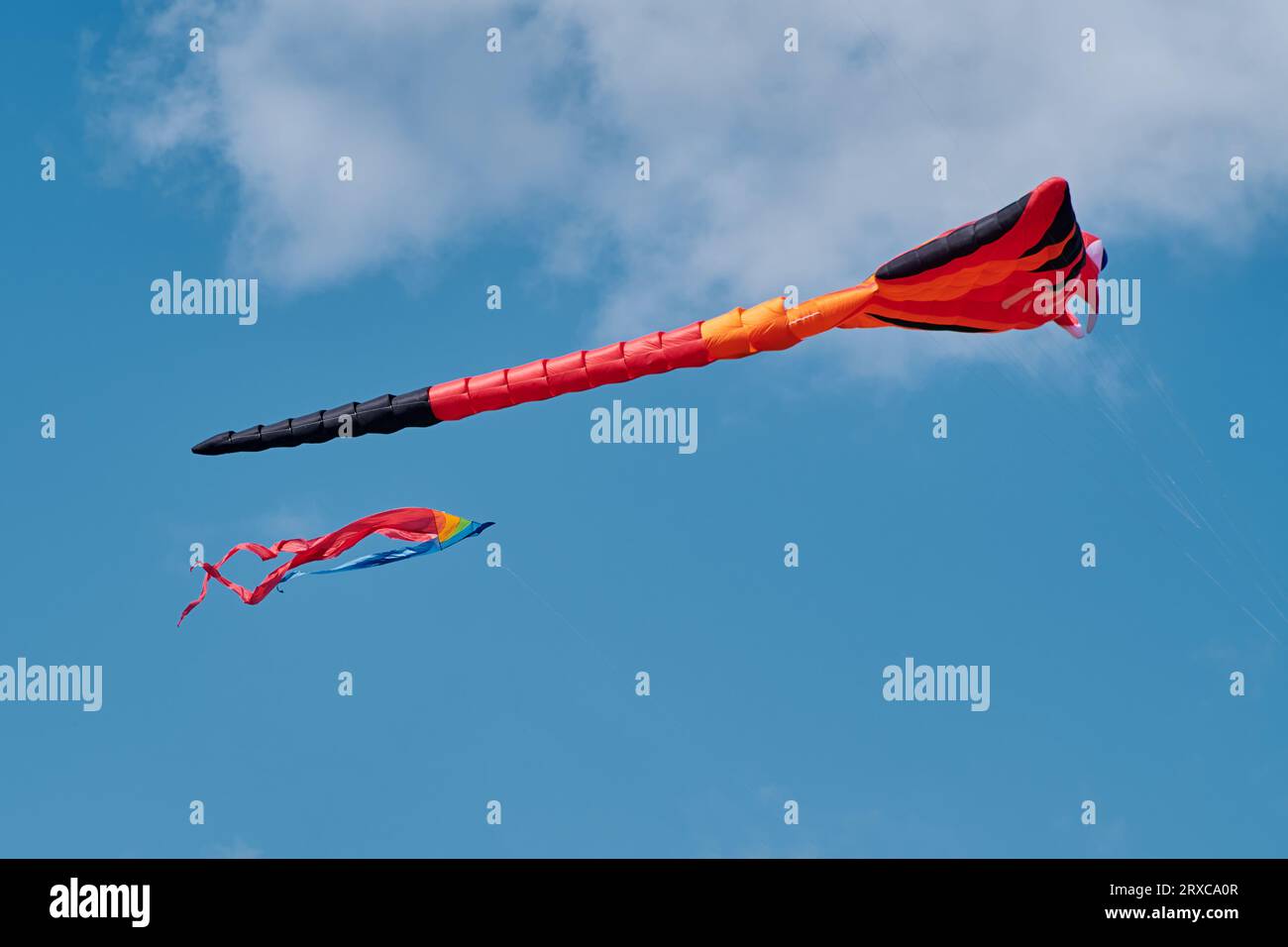 An outdoor kite flying festival. Kites are launched into the blue sky ...