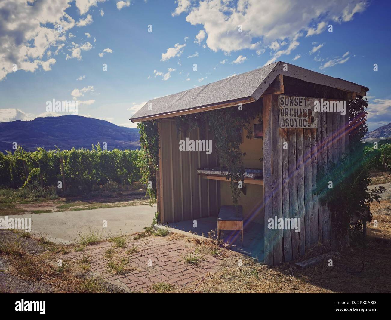 Vintage fruit stand hi-res stock photography and images - Alamy