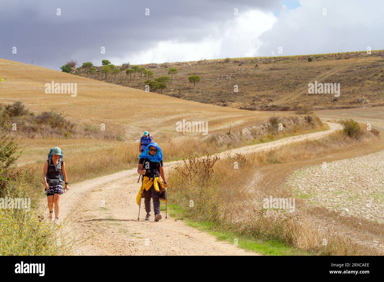 Pilgrims walking the Camino de Santiago pilgrimage route, the way of St ...