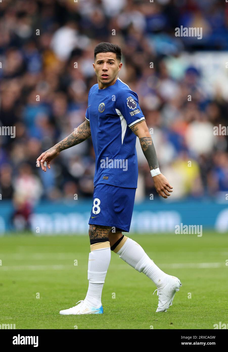 London, UK. 24th Sep, 2023. Enzo Fernández of Chelsea during the ...