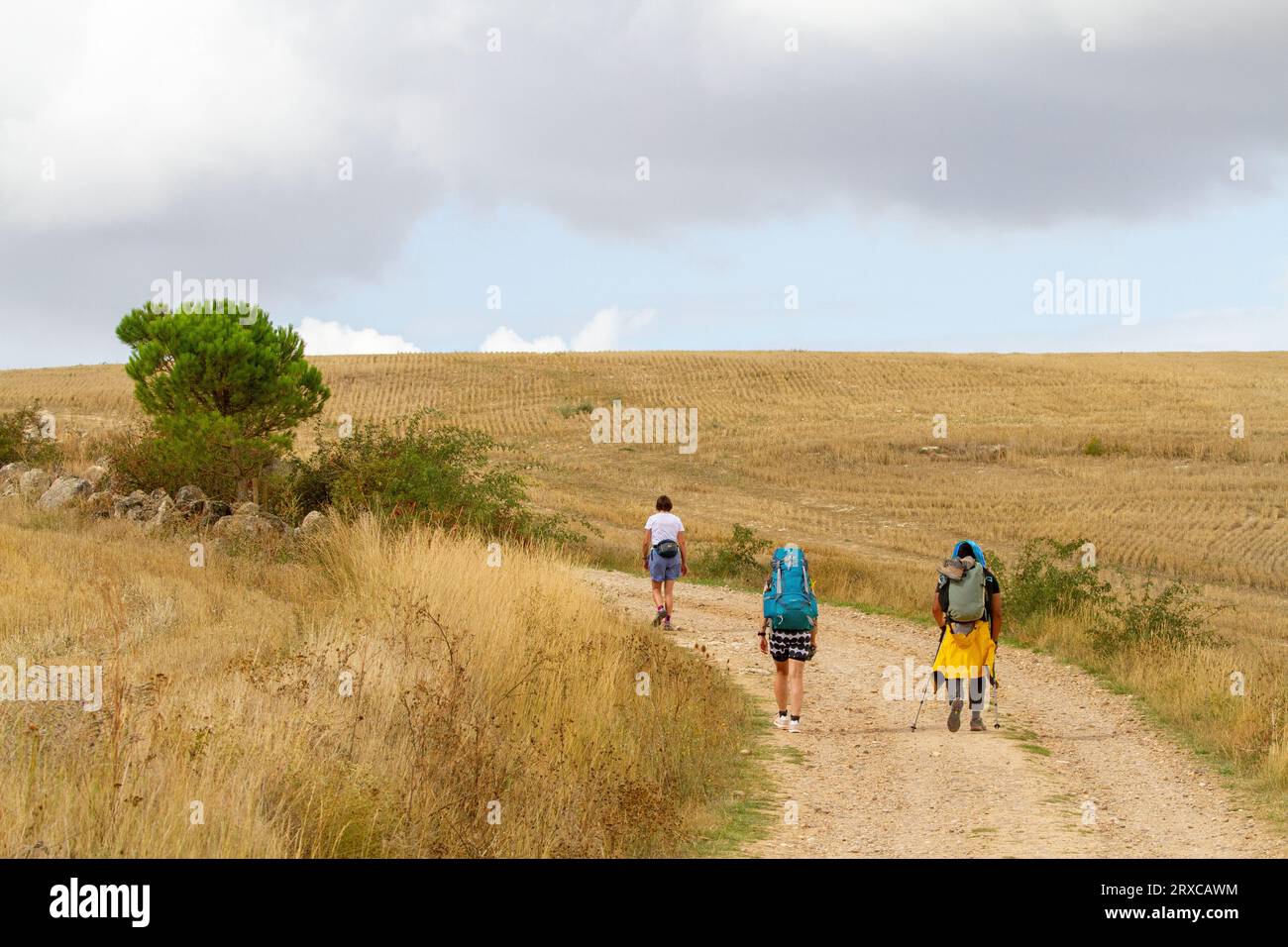 Pilgrims walking the Camino de Santiago pilgrimage route, the way of St ...