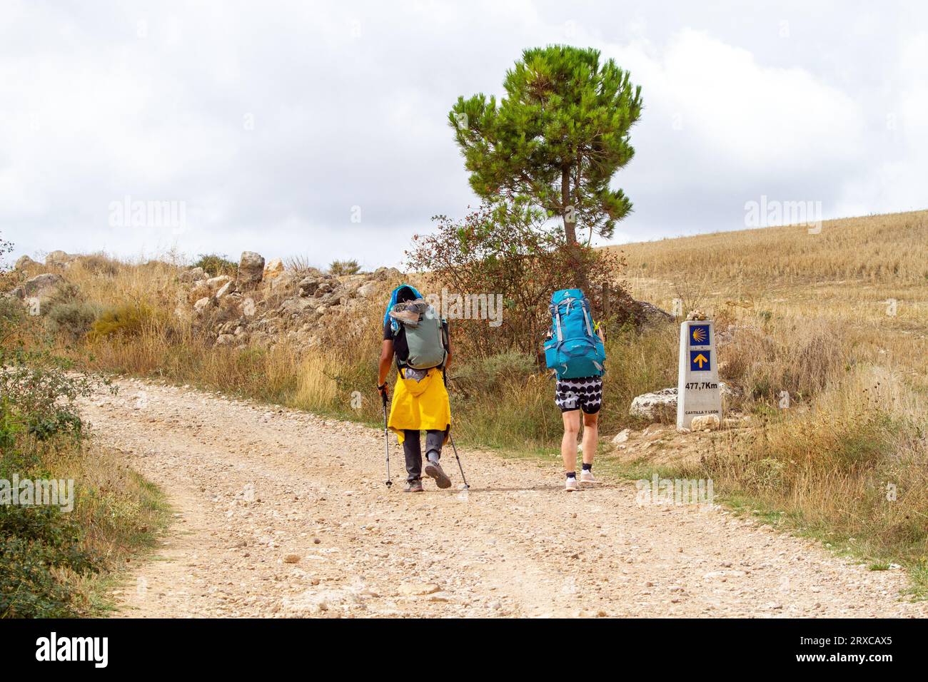 Pilgrims walking the Camino de Santiago pilgrimage route, the way of St ...