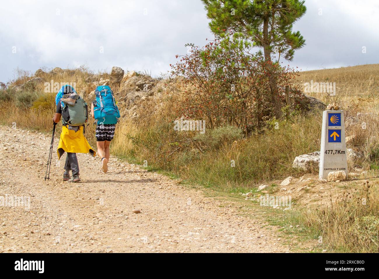 Pilgrims walking the Camino de Santiago pilgrimage route, the way of St ...