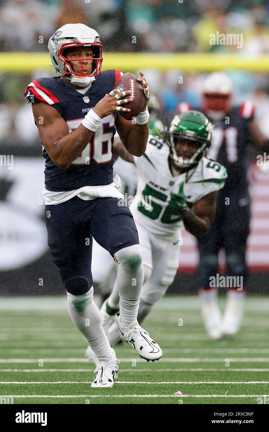 New England Patriots tight end Pharaoh Brown (86) makes a catch against ...