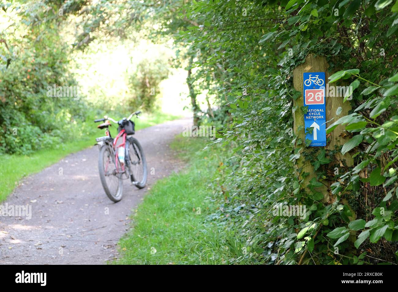 September 2023 - National Cycle Network in Sandford, Somerset, Enaglnd ...