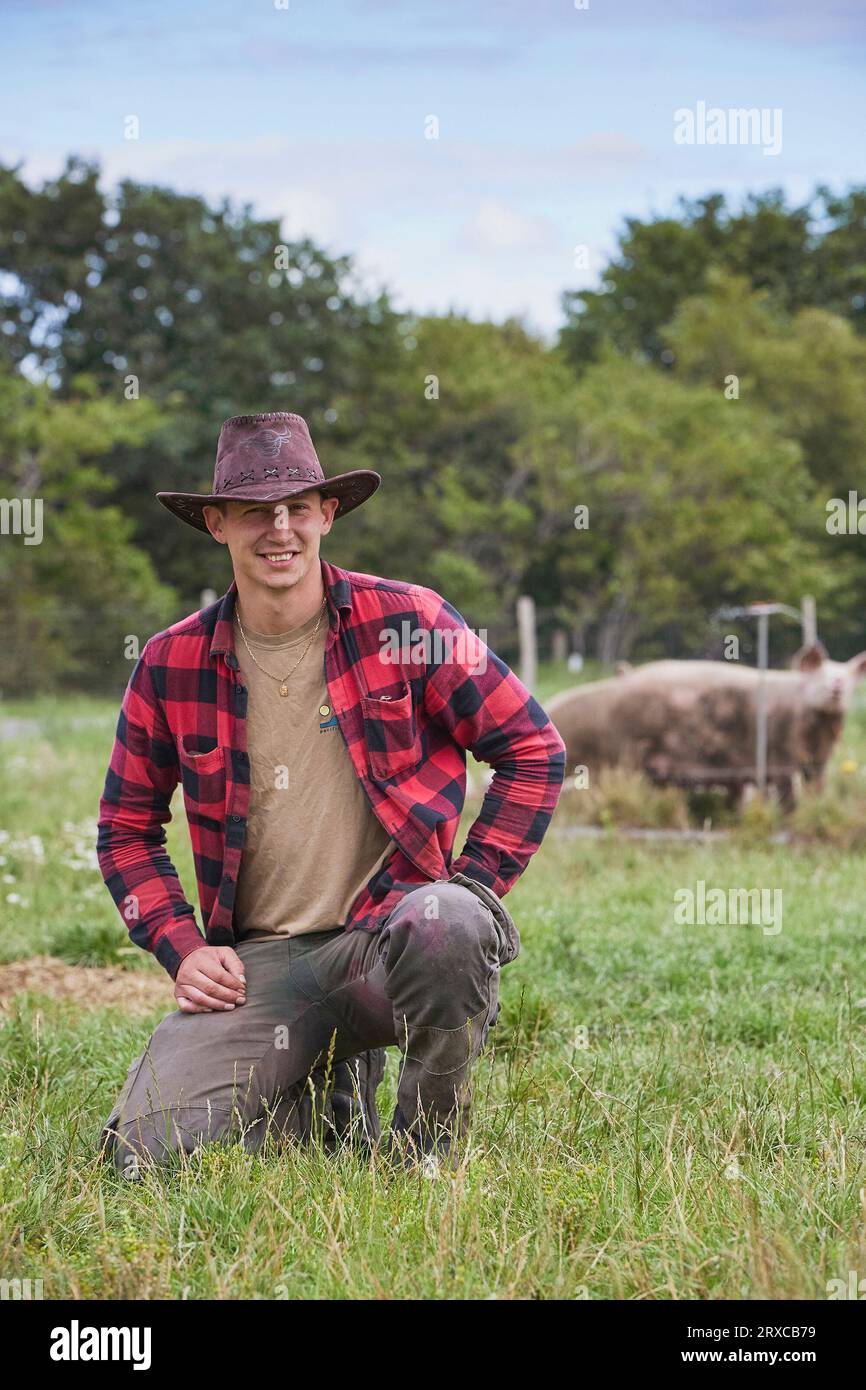 Give, Denmark, July 22: Worker at a pig eco farm Stock Photo - Alamy