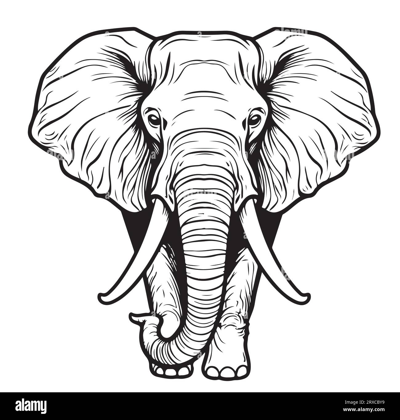 Elephant standing Sketch Hand Drawn Graphic Safari Animals Vector Stock ...