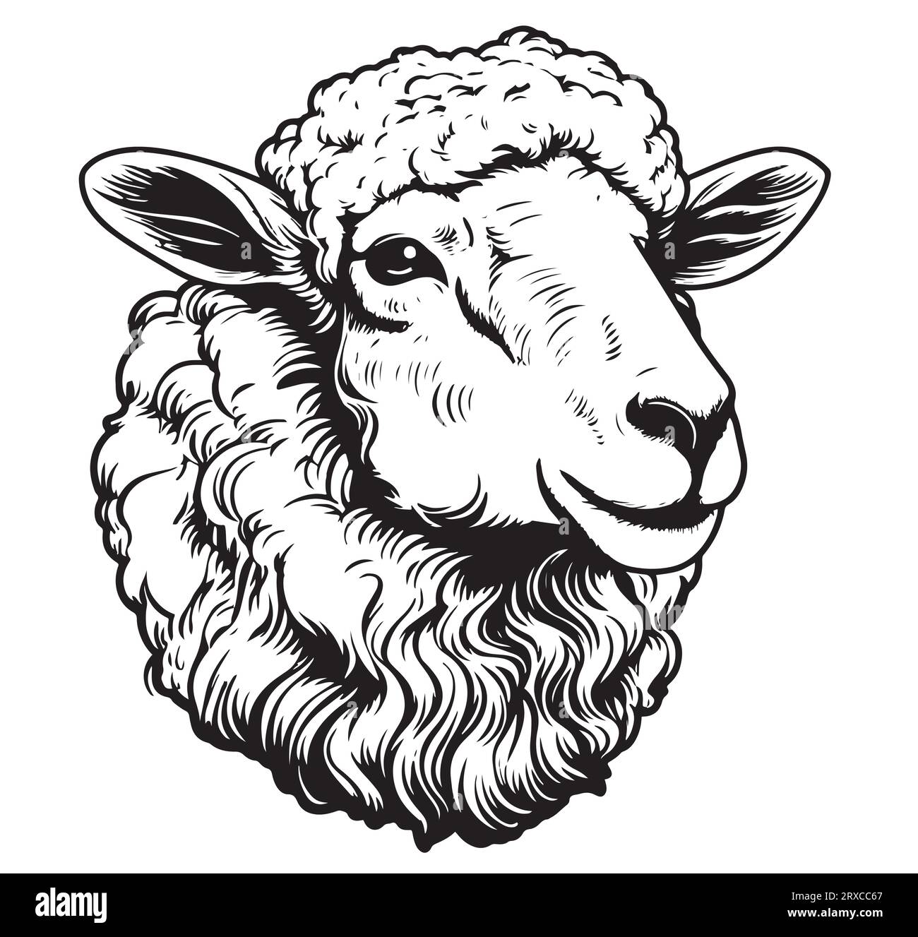 Lamb Drawing Face at Charlotte Smartt blog